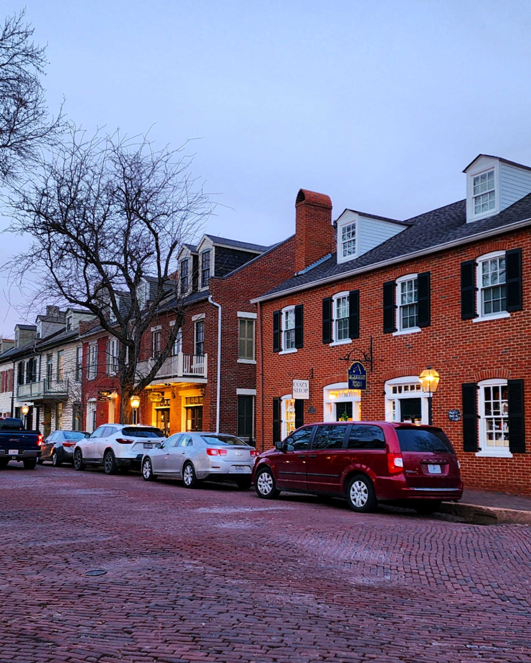 St. Louis – Gateway to the West – The Girl in All Leopard