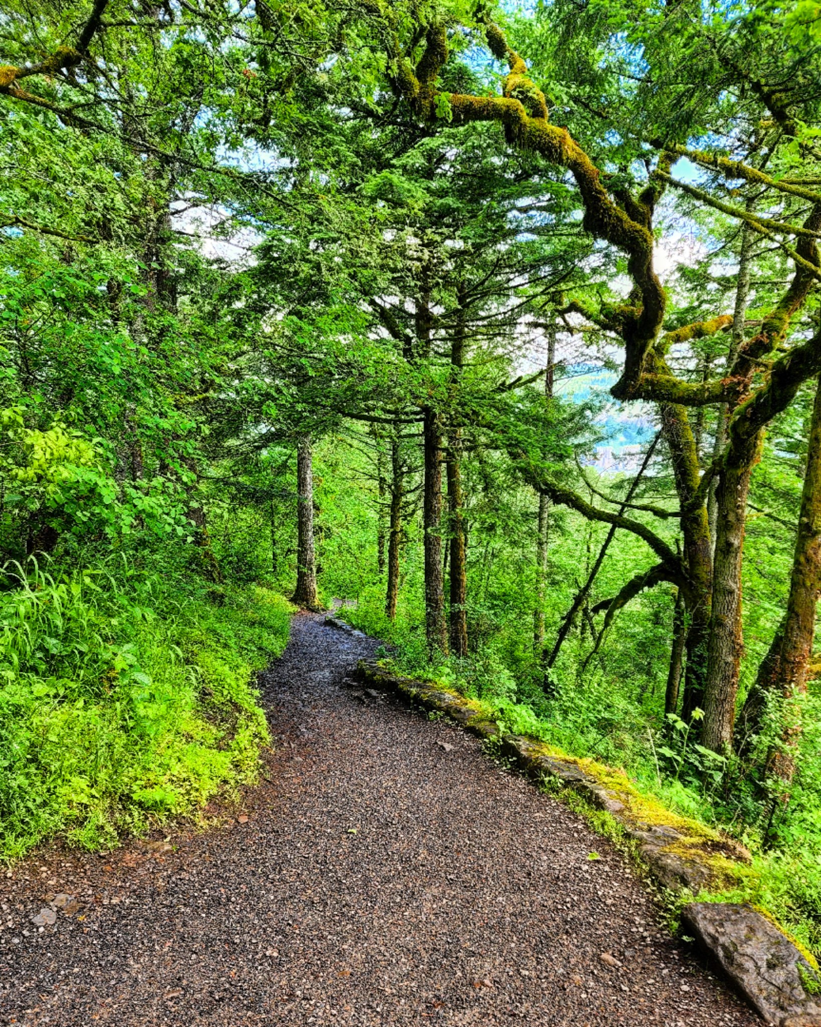 Portland, Oregon — The City of Roses – The Girl in All Leopard