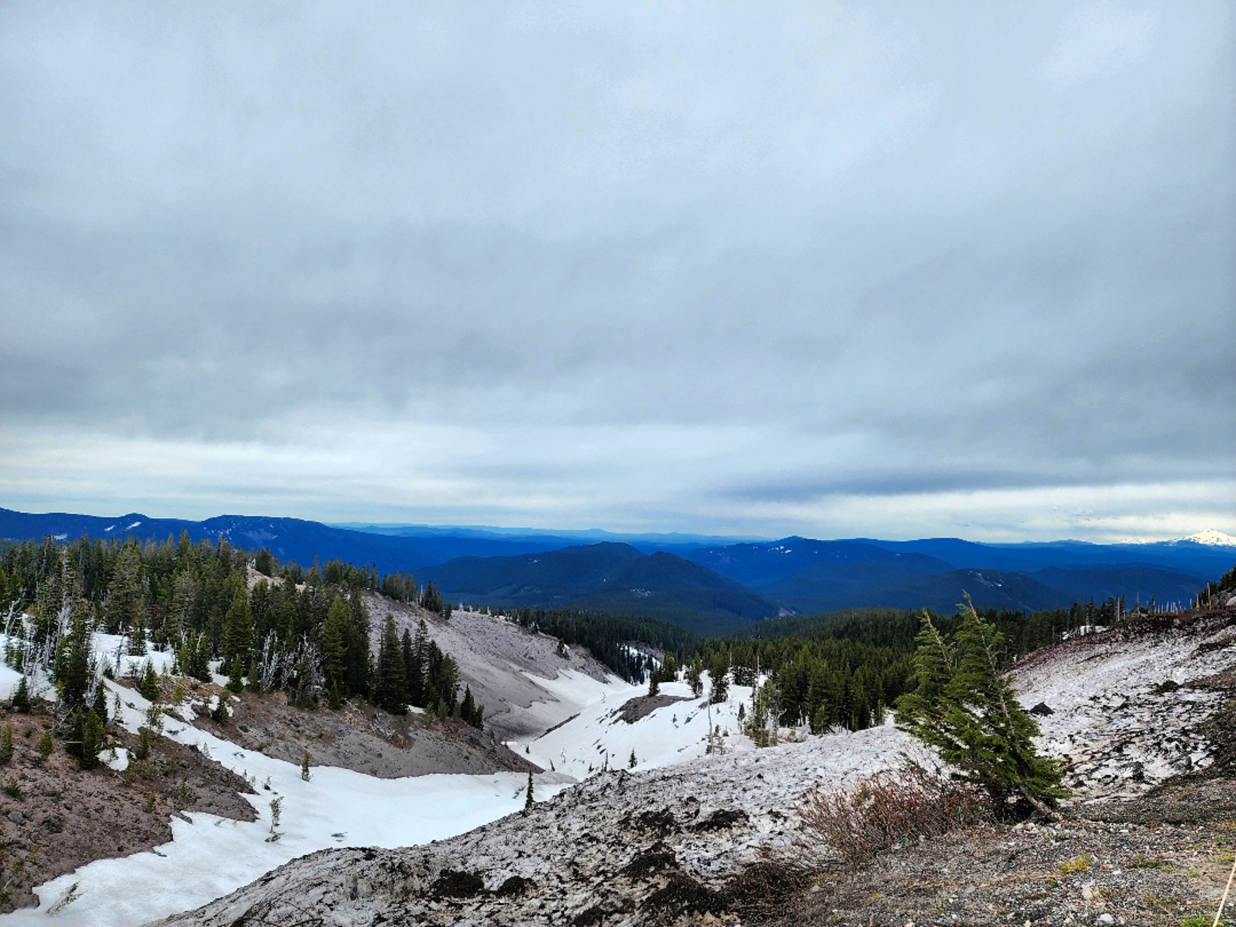 Portland, Oregon — The City of Roses – The Girl in All Leopard