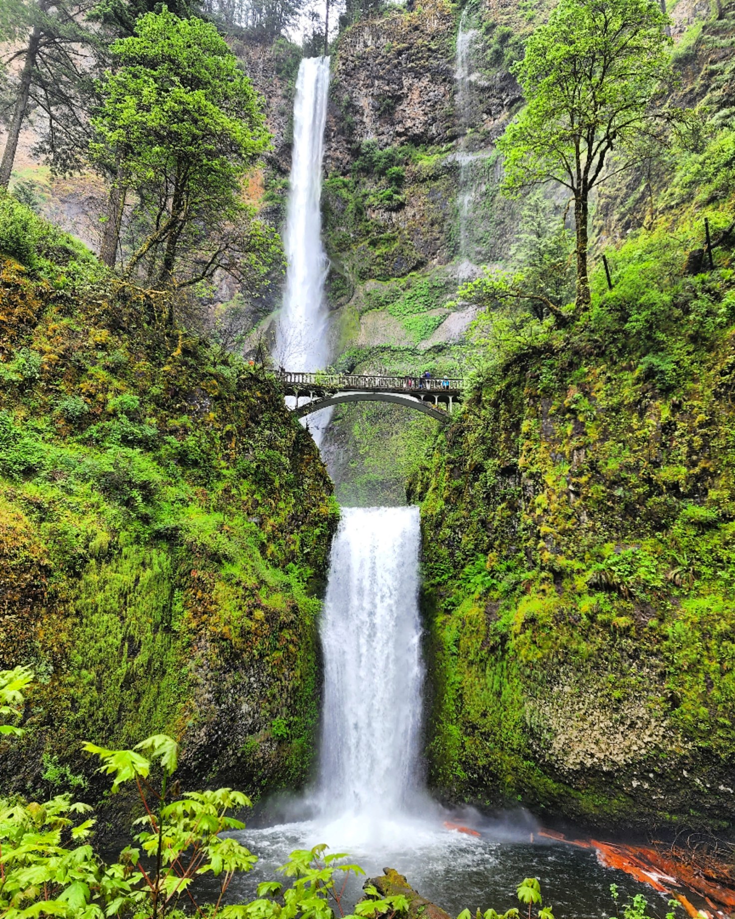 Portland, Oregon — The City of Roses – The Girl in All Leopard